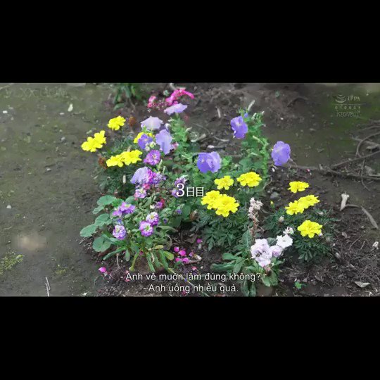 Bokep indo viral jilboob (@JonathanBranst4) / Twitter