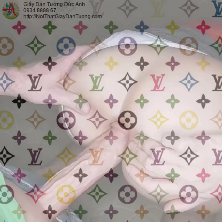 Blackwood Tante amel Viral Bokep Indo Terbaru (@CarmaBlackwood6) / Twitter