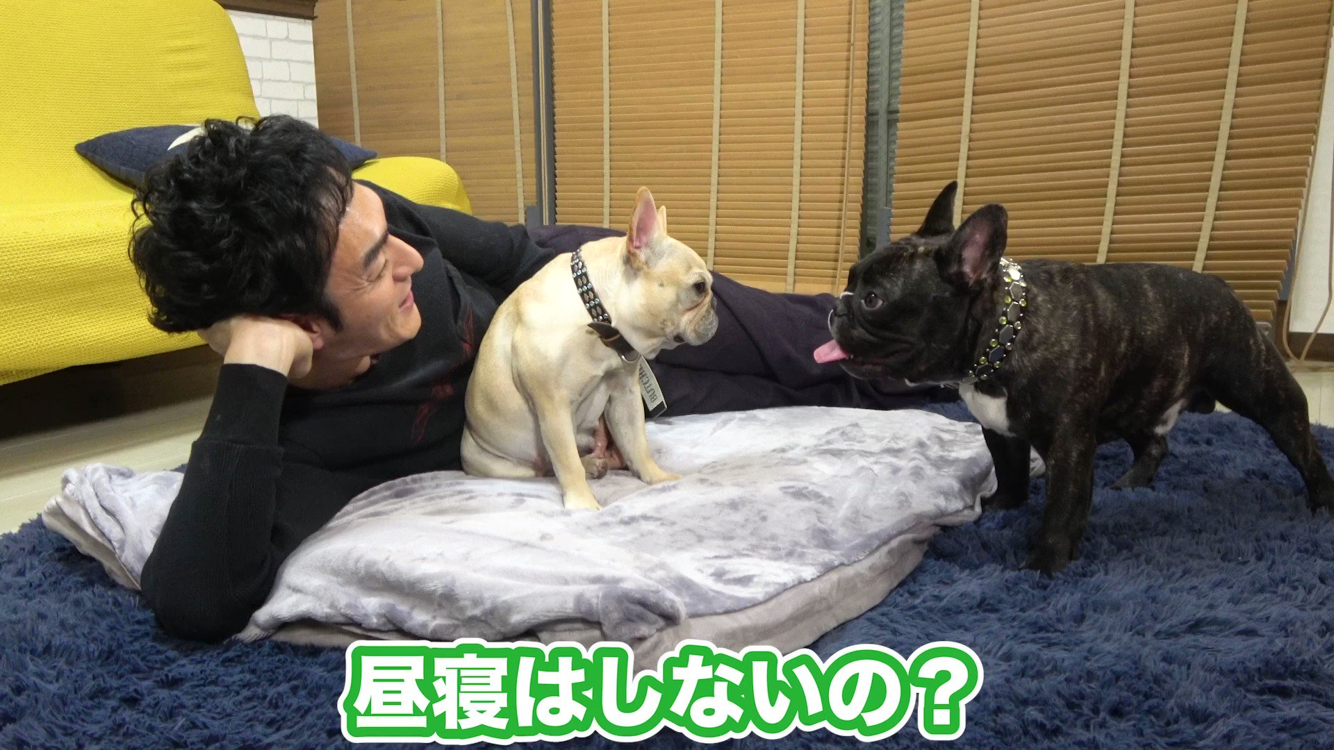 ˗ˏˋ🌟𝑆𝑀𝐴𝑃🌟ˎˊ˗ (@m____smap) / Twitter