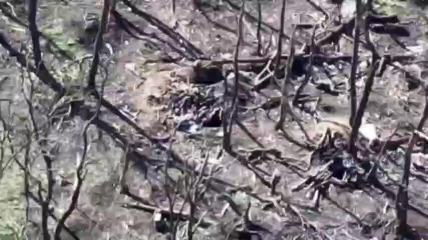 Оперативний ЗСУ On Twitter 🔥🔥🔥 Rho8wliinx Twitter