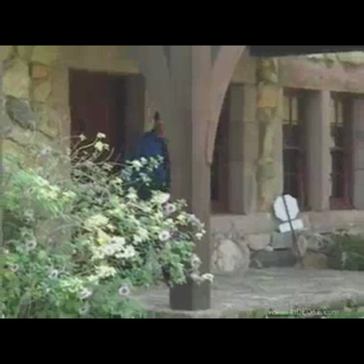 Kimi BOKEP INDO Video XXX (@BurkKimi) / Twitter