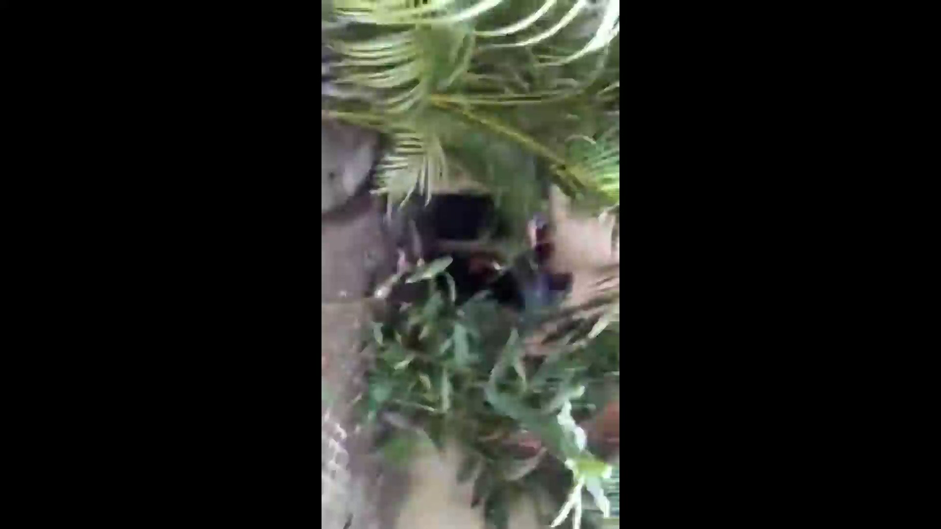 18+ XNXX BOKEP Bokep Indo (@AugustineGiven3) / Twitter