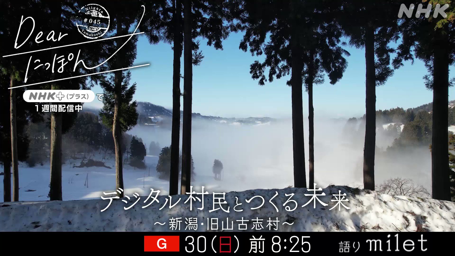 NHK おはよう日本 公式 on Twitter: "メタバースに集う野菜アバター🥬🍆 過疎化に悩む新潟県旧山古志村で始まった「デジタル村民」プロジェクトについて、去年11月に #おはよう日本 ...