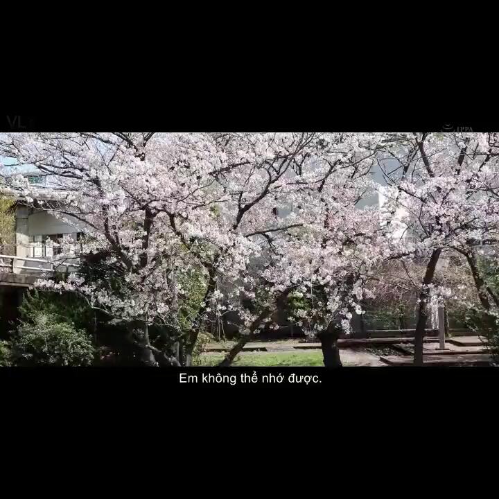 Coca Bokep mesum 19+ (@Tocabokep) / Twitter