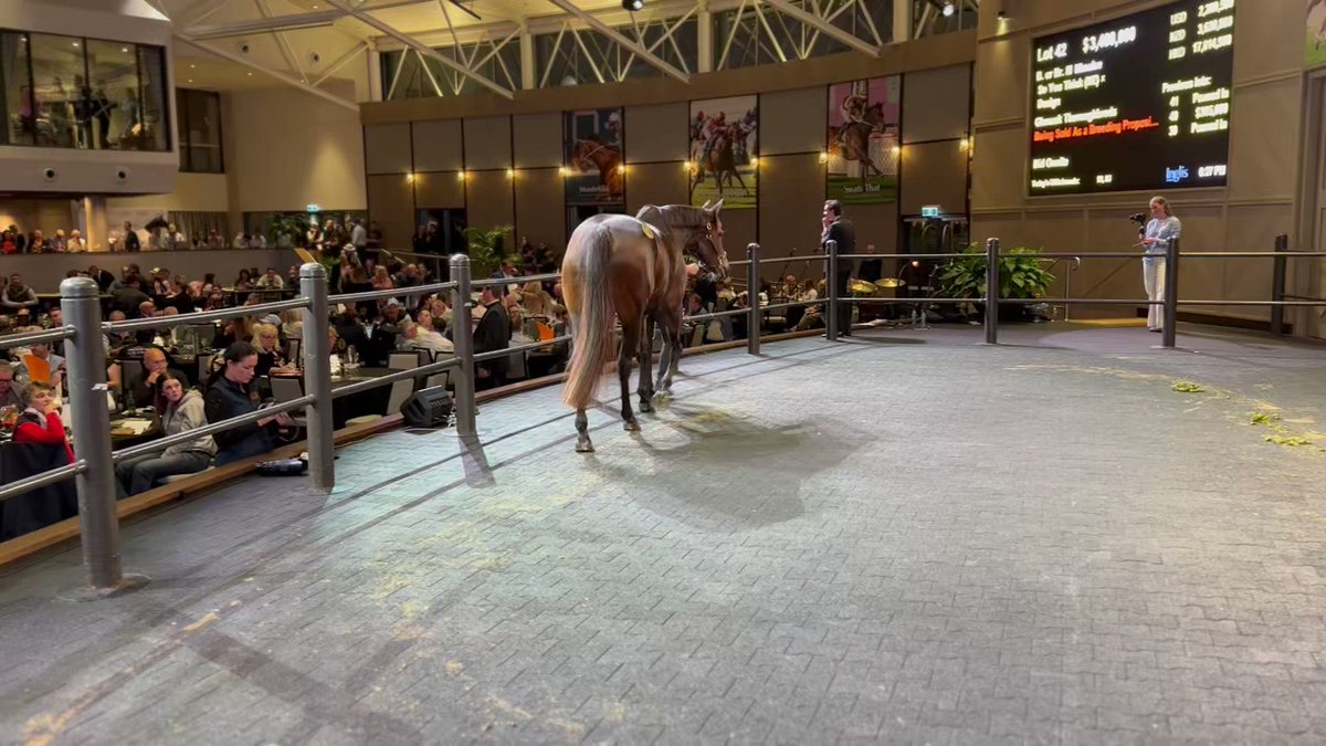 ANZ Bloodstock on Twitter: ANZ Bloodstock on Twitter: