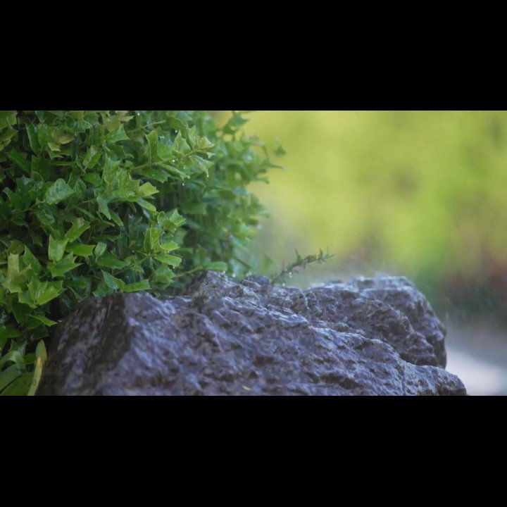 Diana USA Sex Big Ass Porno Bokep Viral 18+ HD (@adragnapip9628) / Twitter