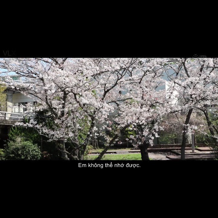 Diana USA Sex Big Ass Porno Bokep Viral 18+ HD (@adragnapip9628) / Twitter