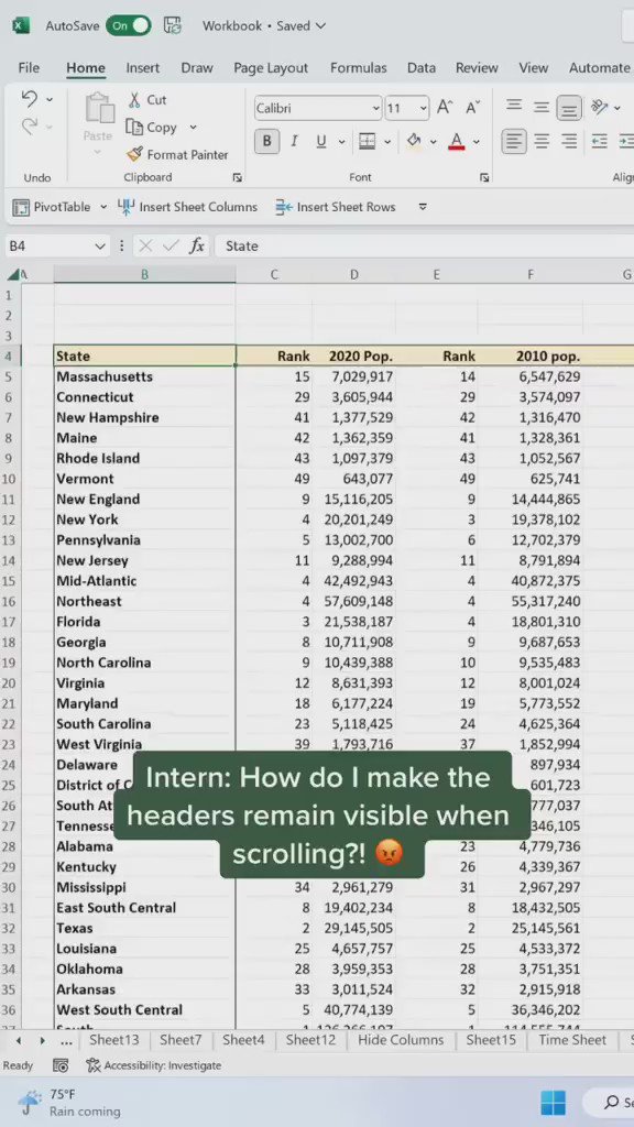 Excel Dictionary on Twitter: "How to freeze the first row and column of your data table without ...