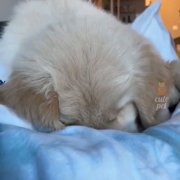 USA videos sex Japan XXX watch full HD+ (@ForbesJuli29108) / Twitter