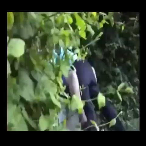 Hayley Pacheco (@HayleyPacheb274) / Twitter