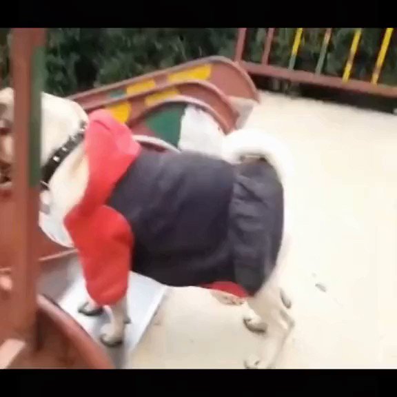 Bokep Indo FREE PORNO VIDEO XXX (@PamelaPhil74494) / Twitter