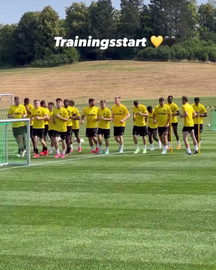 BSC YOUNG BOYS on Twitter: "Trainingsauftakt bei YB 💛🖤 #BSCYB #YBFOREVER"