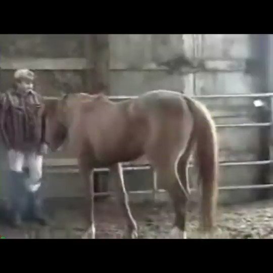 Gunner Bokep Hot Viral USA Girls Sex Watch Online (@GunnerWarrev874) / Twitter