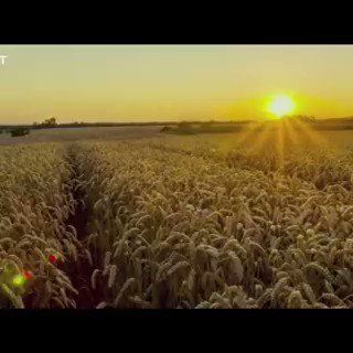 Us Sex Porn Bokep XXX 💕 (@ArthurEdwa6086) / Twitter