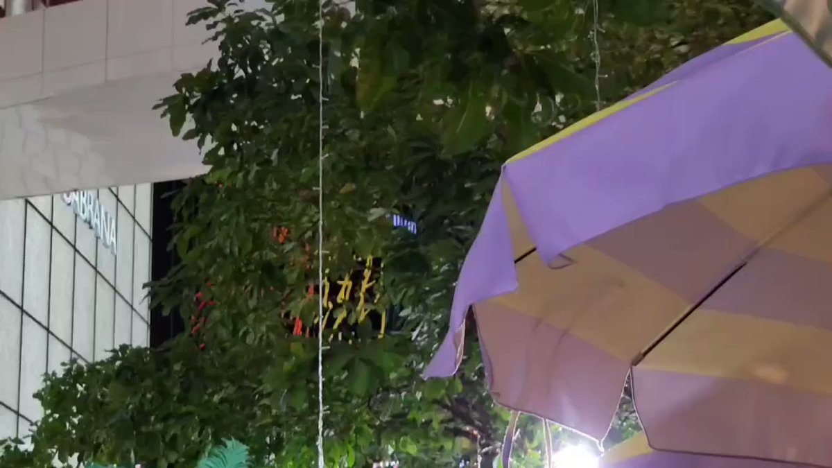 CursedFangirls★彡 on Twitter: "RT @ETKT: 現地からレポート"