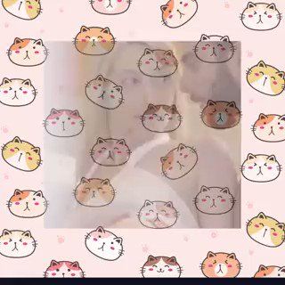 Vidio Bokep mesum tante indo 18+ on Twitter: "Bokep💞 🎞 Part 4389 📽️" / Twitter