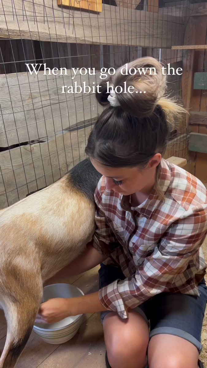 Gubba Homestead on Twitter: Gubba Homestead on Twitter: