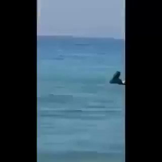 Kael bokep 18+فيلم الزوج والزوجة (@KaelGonzalef285) / Twitter