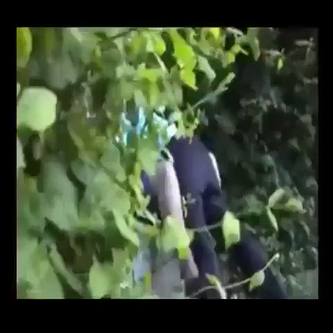 افلام سكس عربي اجنبي محارم مترجم (@Bethari_Bokep) / Twitter