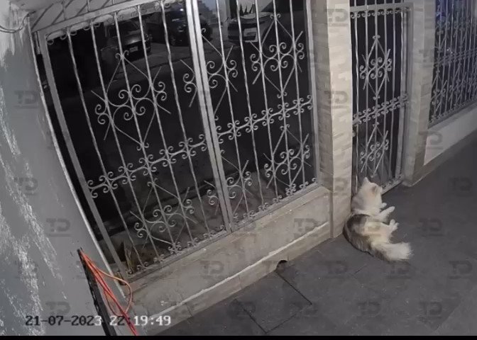 @telediariomty on Twitter: " ️ Cámaras de seguridad captaron el momento en que hombres armados ...