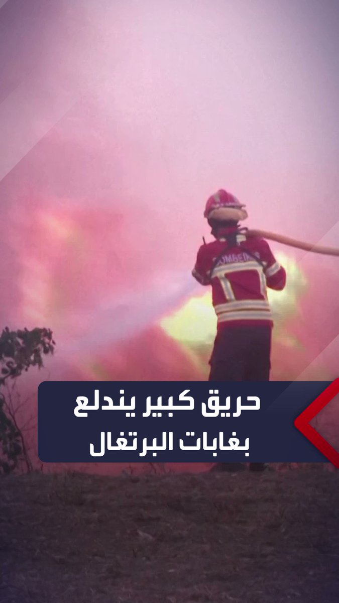 قناة Dw العربية ما قصة ذلك الطائر العجيب؟ وما أهمية هذا الاكتشاف العلمي