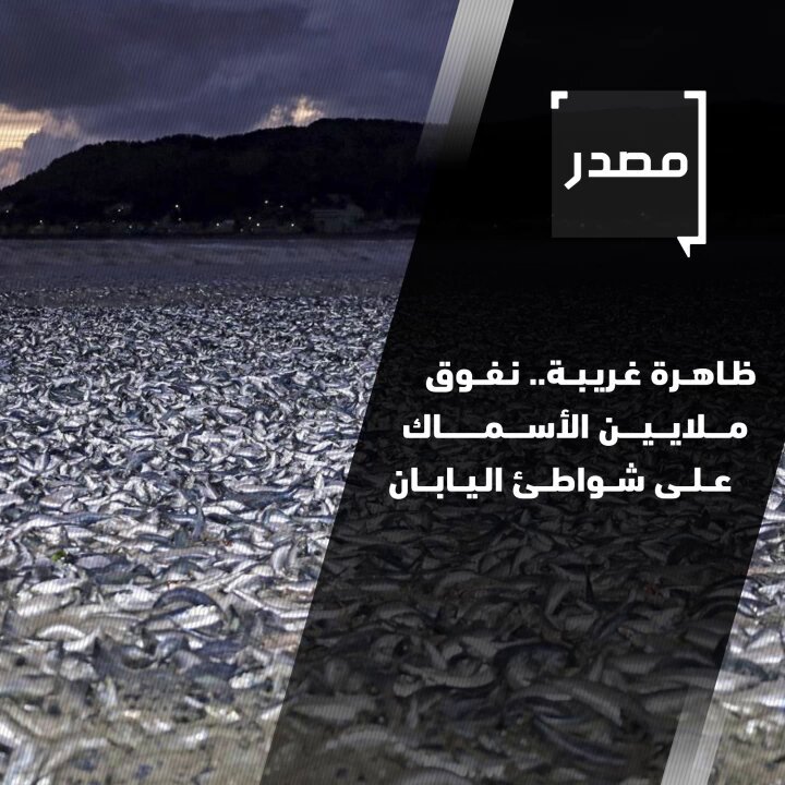 الشارقة 24رئيس الدولة يستقبل رئيس بيلاروسيا الشارقة24
