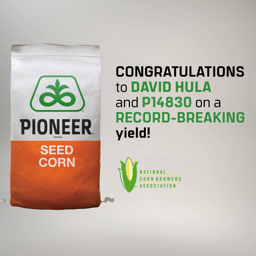 Pioneer Corn Bag