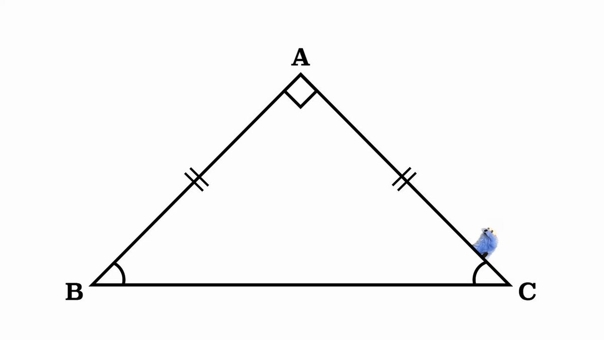 810の鳴き声コレクション2024・vol.18 - posfie