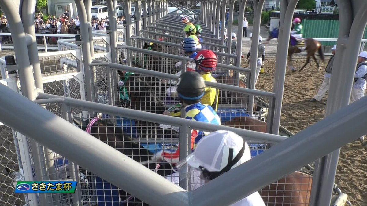 第28回さきたま杯 Jpn1昇格 初代王者はレモンポップ - posfie