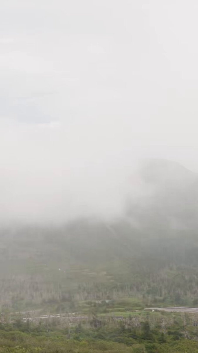 20250105-18 - posfie