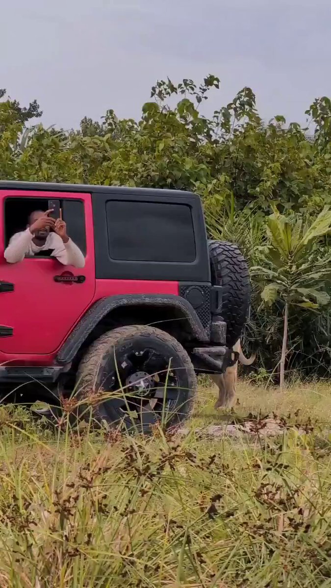 リュー(@ryu2012) - Twilog (ツイログ)