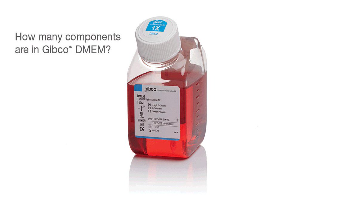 Dmem Recipe Gibco | Bryont Blog