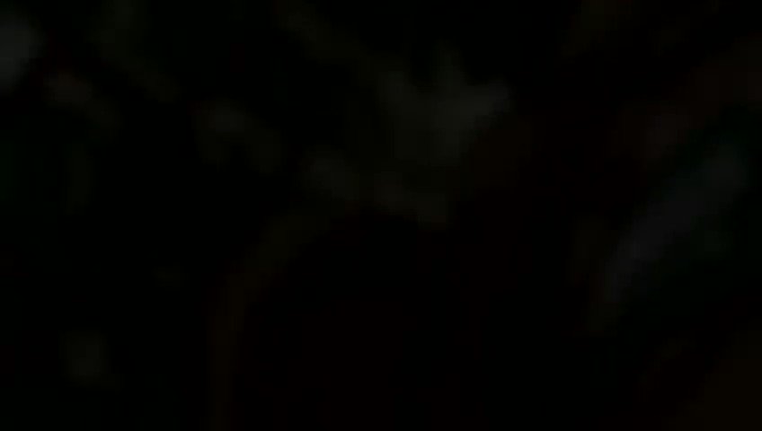 بدر العساكر Bader Al Asaker On Twitter وطني كل الدروب منه تنبض