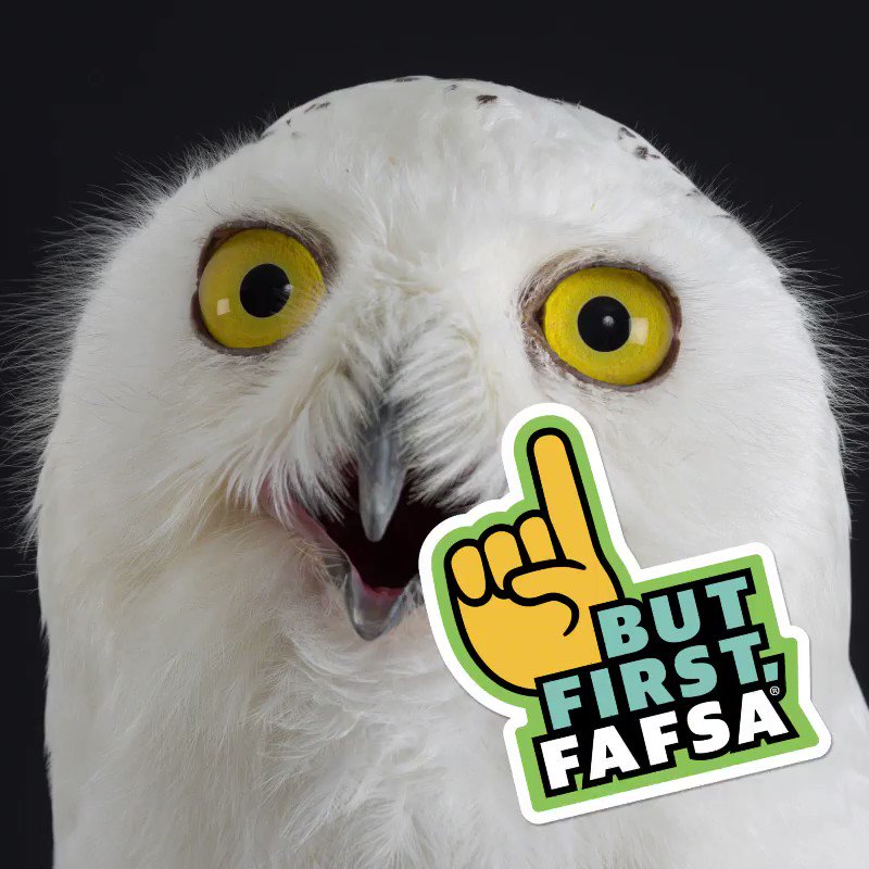 O Rly Owl Gif