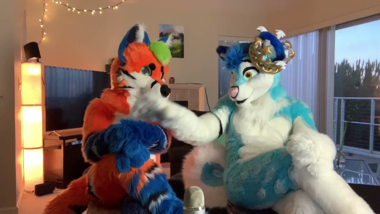 Fluke π On Twitter Hey Tirox Maws Or Paws π ππ