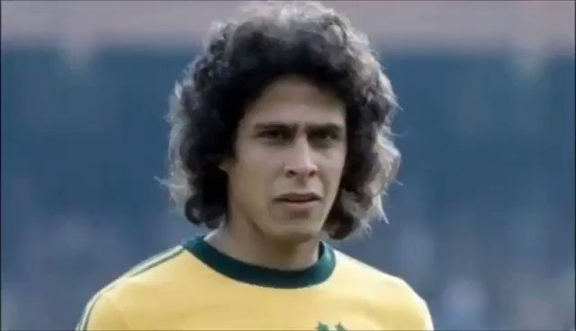 Curiosidades Brasil on Twitter: Curiosidades Brasil on Twitter: