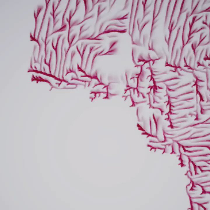 arsiliath (@arsiliath) / Twitter