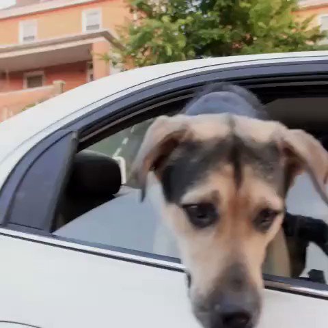 TecQuipment | Engineering Equipment for Education