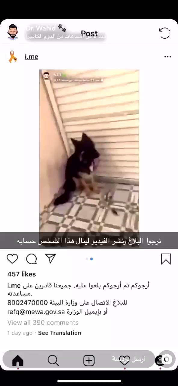 §ДℓмД Ðøw On Twitter حسبي الله ونعم الوكيل😢💔 القبض على معنف الكلب