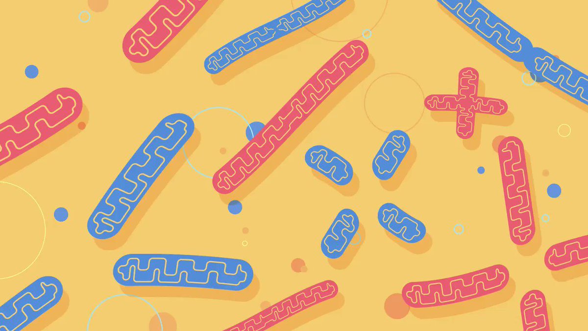 A Thread From Realscientists Want To Read More About Mitochondria