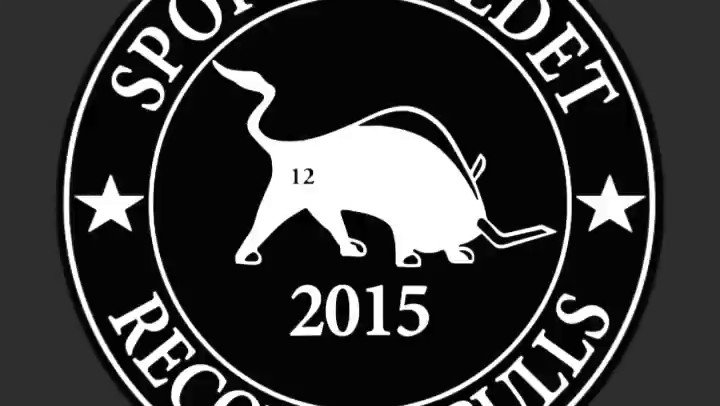 RECOVERY BULLS Danmark on Twitter: "Velkommen til vores nyeste tiltag - RB Family. Vi håber ...