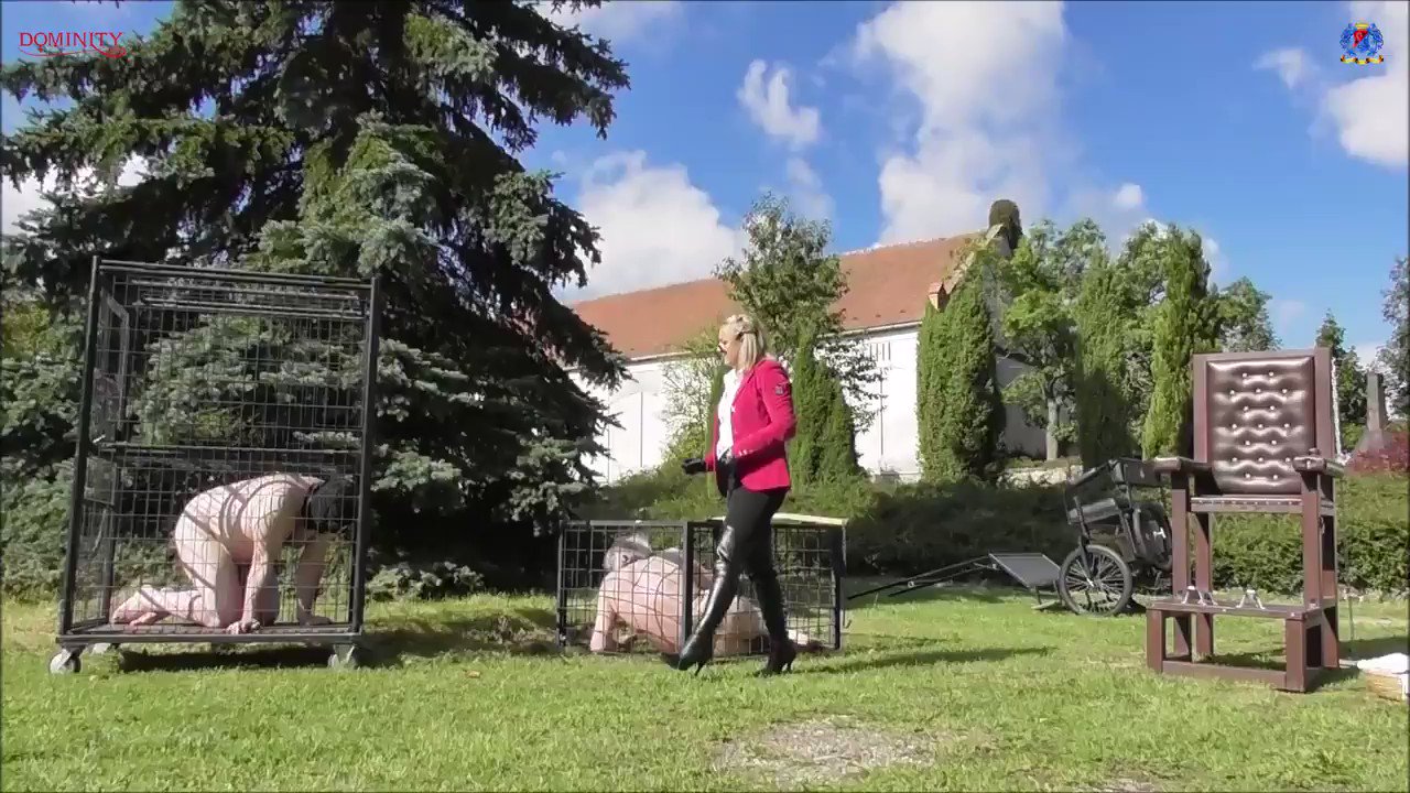 DOMINITY on Twitter: "New #OWK clip on #DOMINITY‼️ TWO SLAVES FOR MISTRESS ATHENA ️https://t.co ...