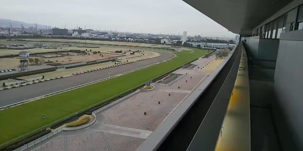 歓声が消えた週末、無観客競馬の競馬場に響く様々な音たち #なかなか見られない阪神競馬場 #jra - posfie