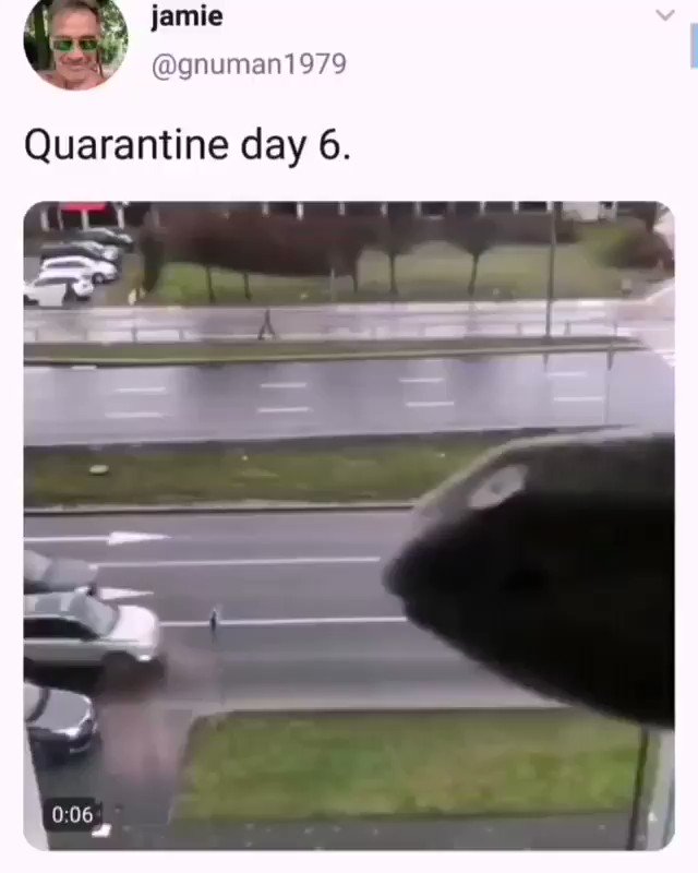 wagathu on Twitter: "Why am I finding this funny 👇 #COVID19 #coronaviruske #alevels2020 # ...