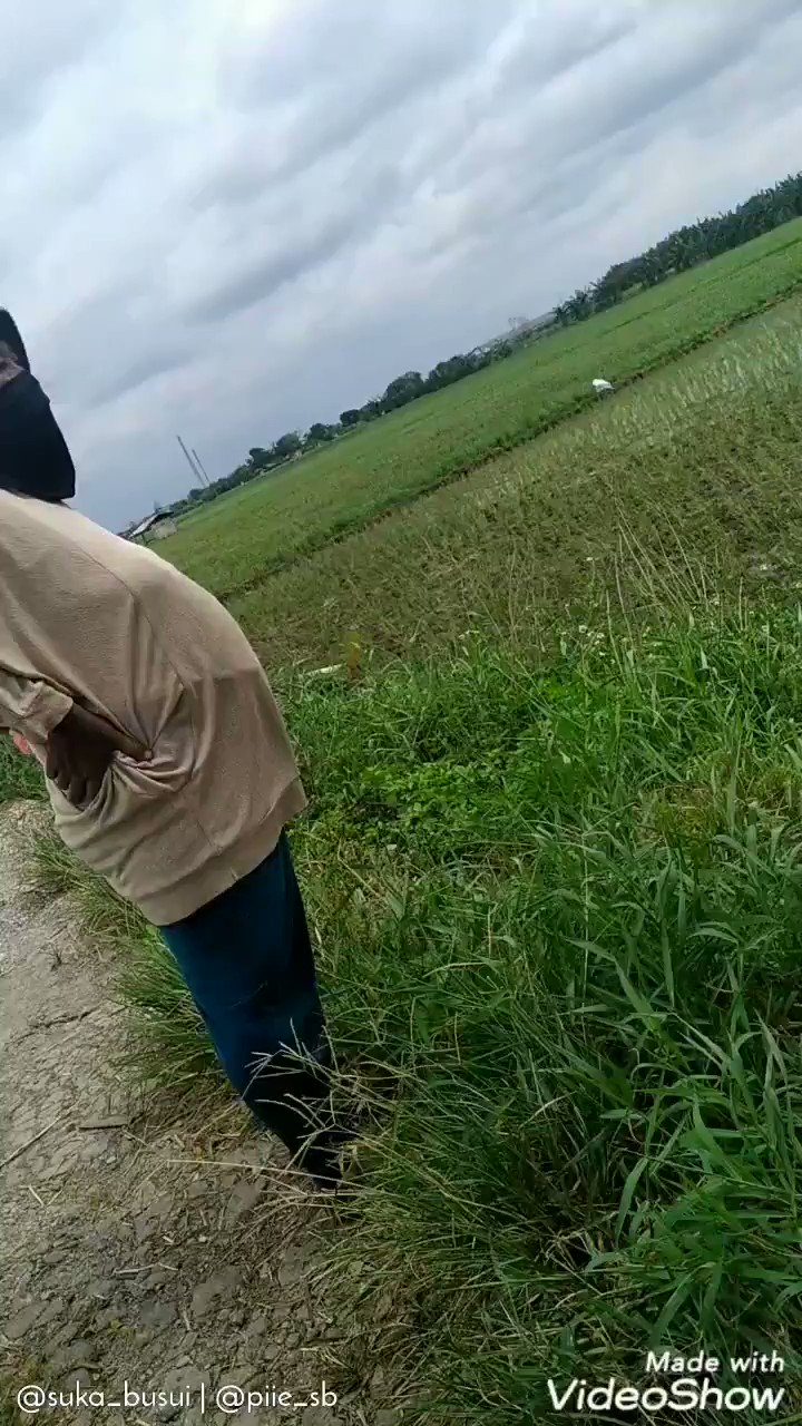 Pensi on Twitter: "Tadi siang 😋 Liat ibu2 di tengah sawah lagi ngunder ☺ Diajak ngobrol dikit ...
