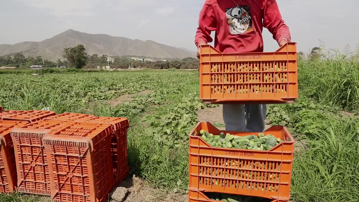 Hoy es el Día Mundial de la Inocuidad de los Alimentos! ? ?Los ... Hoy es el Día Mundial de la Inocuidad de los Alimentos! ? ?Los ...