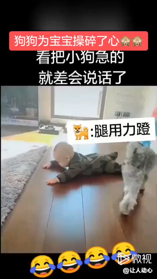 Zyjia Zy Jia Twitter