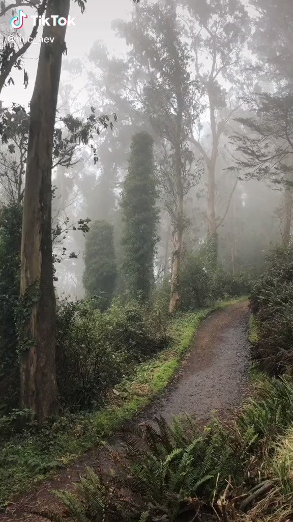 em on Twitter: "my favorite type of weather…