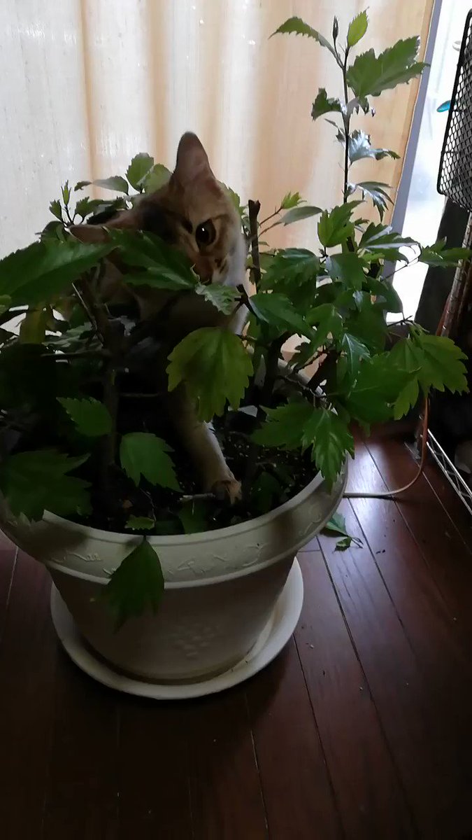 胡桃ちゃん02 - posfie