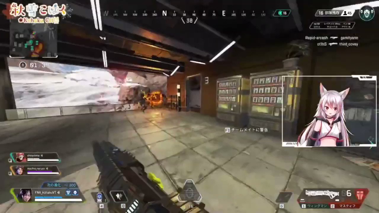 秋雪こはく🦊🍁VEE Dev-a on Twitter: "マスティフーーー！！ https://t.co/Ii8JsSkTYe" / Twitter